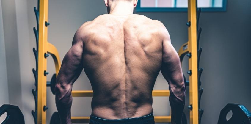 3 Day Workout Split The Best Muscle Building Full Body Workout Plan