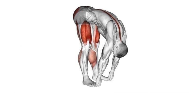 This Simple Stretch Routine Will Get You to Touch Your Toes In Just 1 Week