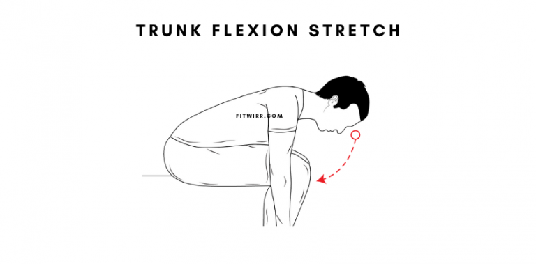 12 Everyday Stretches That Will Help You Become Flexible and Fit at Any Age