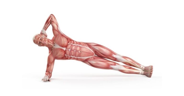 The 5 Best Plank Exercises to Burn Inches of Visceral Fat, Trainer Reveals
