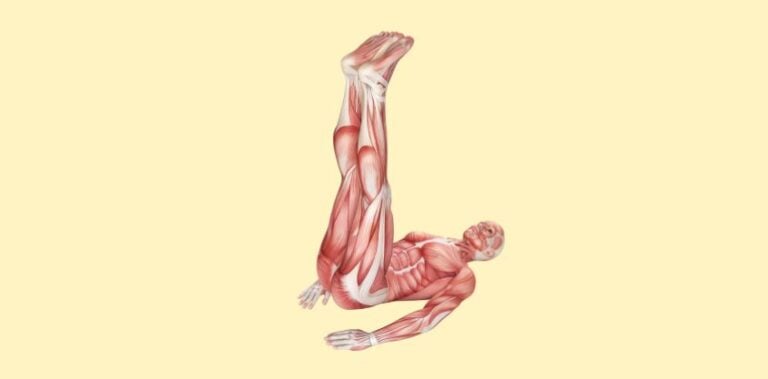 Over 60? Here Are the 3 Exercises You Should Be Doing To Lose Belly Fat