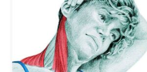 5 Neck Stretches to Release Tension and Restore Comfort