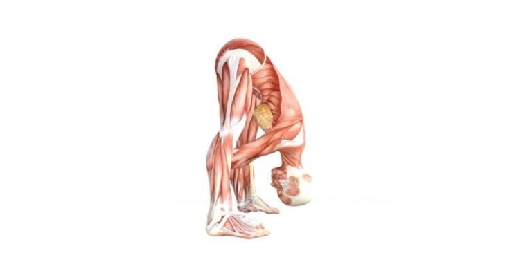 The 6 Most Important Stretches for (Intense) Lower Back Pain